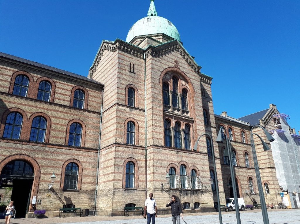 Ancient Protein Conference 2018 – Copenhagen – Analytical Adventures