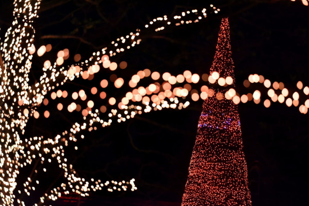 Five Festive Ways to Make the Most of Your Festive Break as an ...