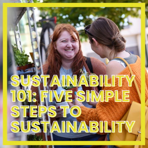 Sustainability 101: Five simple steps to sustainability